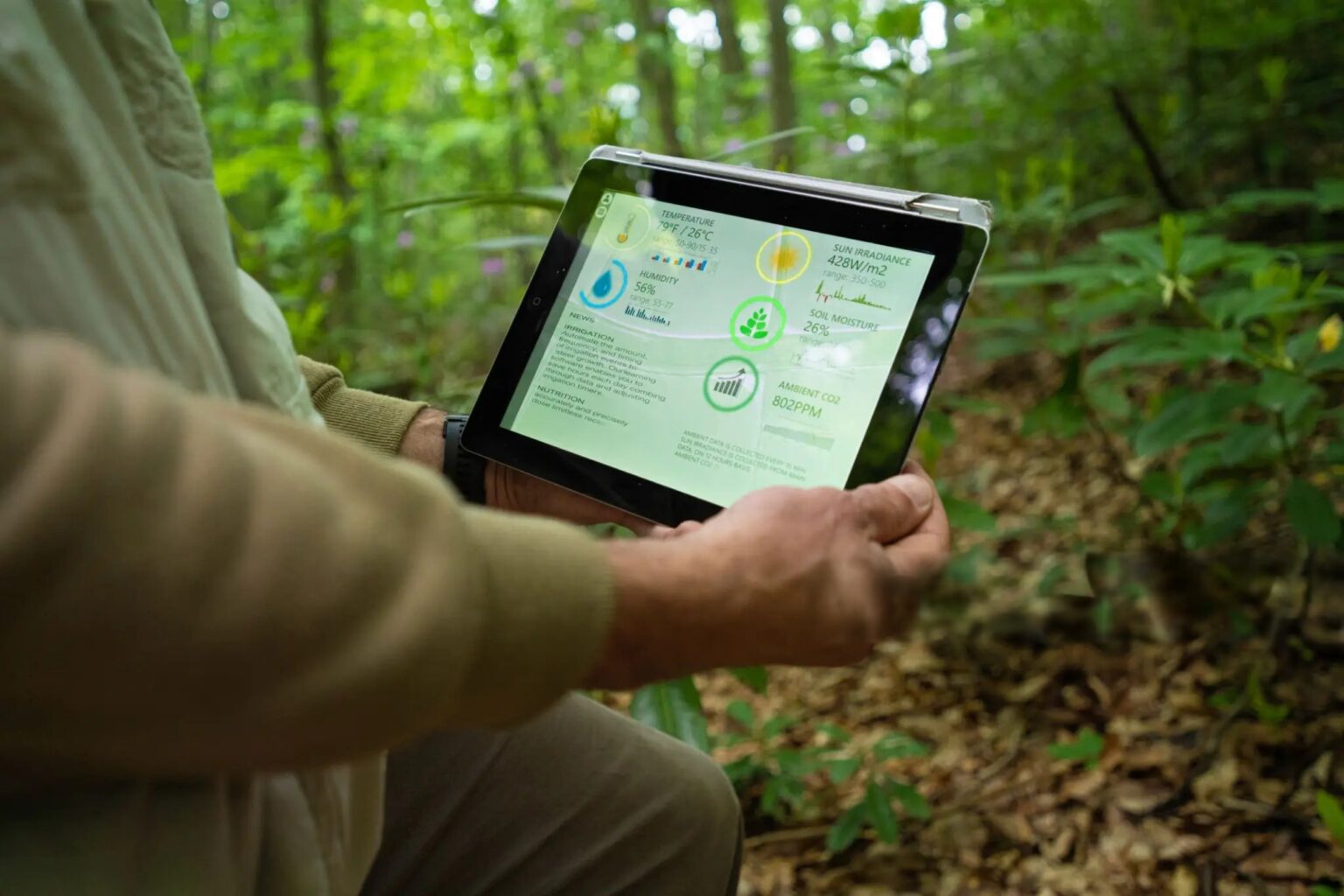 Smart Reforestation – Using Technology to Restore Ecosystems - Reforest ...
