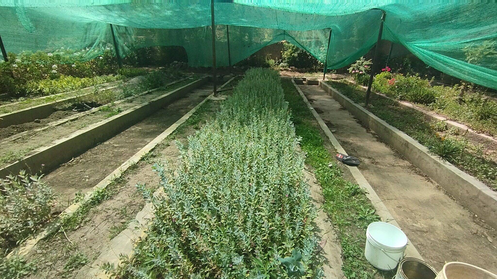 Carbon Footprint: What it is and why it matters today - Reforest Trees